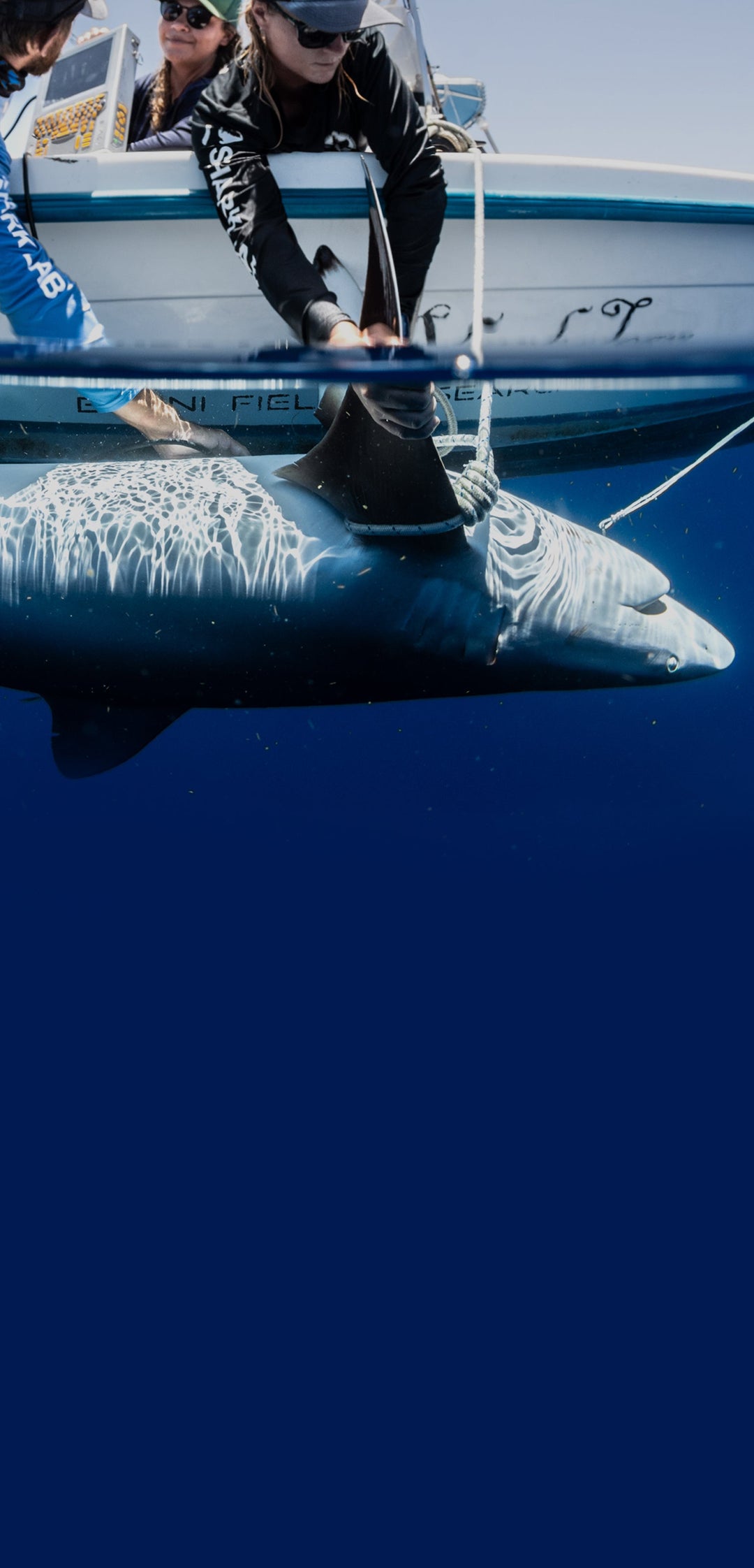 Bimini Shark Lab: Bremont Partner – Bremont Watch Company